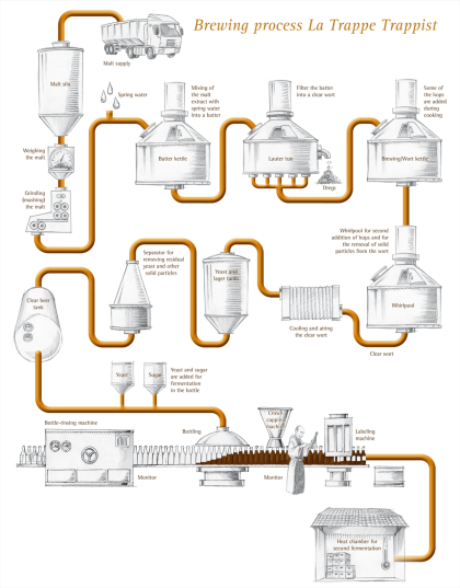beer fermentation process step by step